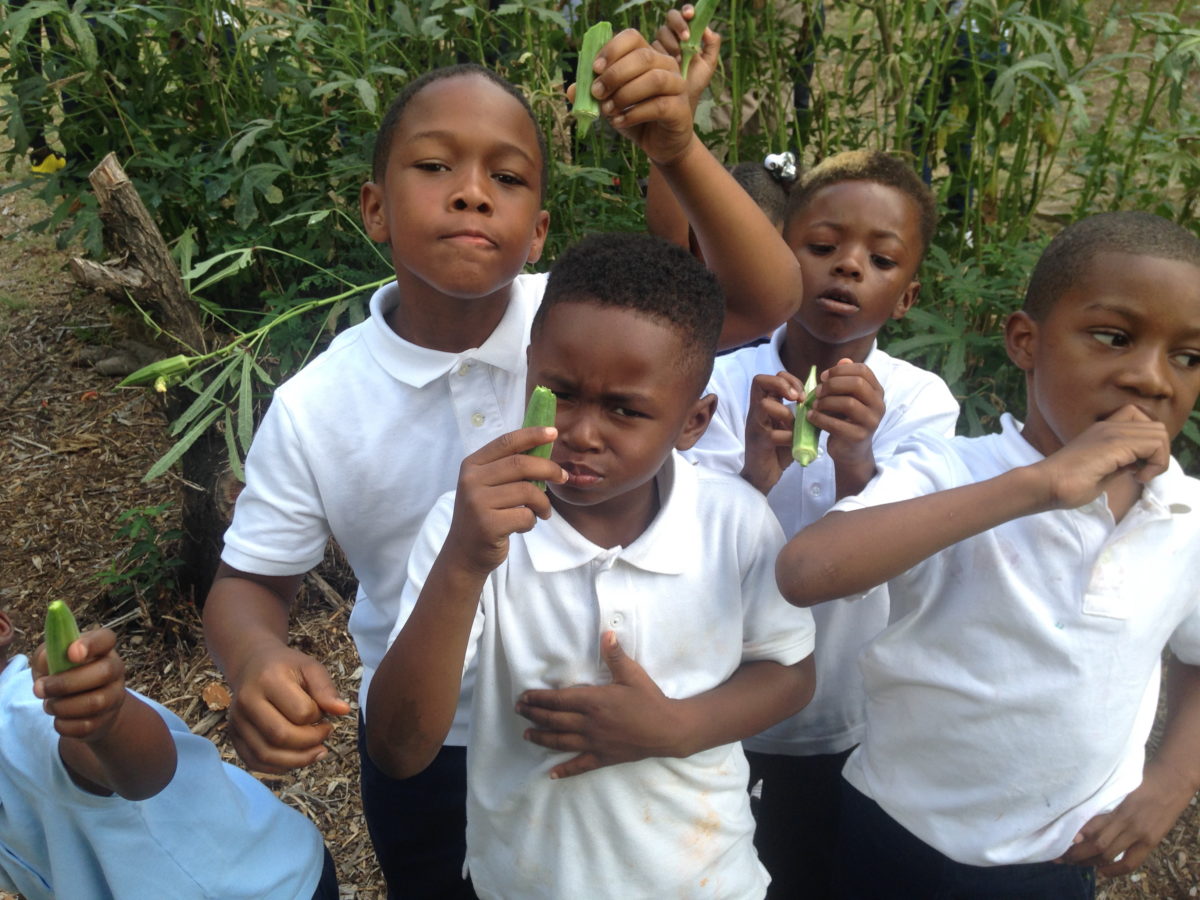 HABESHA – Helping Africa by Establishing Schools at Home and Abroad